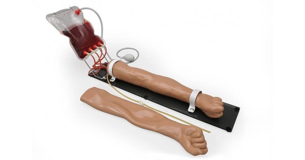 Multifunctionele Intraveneuze Injectie Trainingsarm
