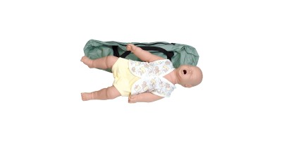 Anatomische Modellen Mens & Dier - Anatomieshop.nl