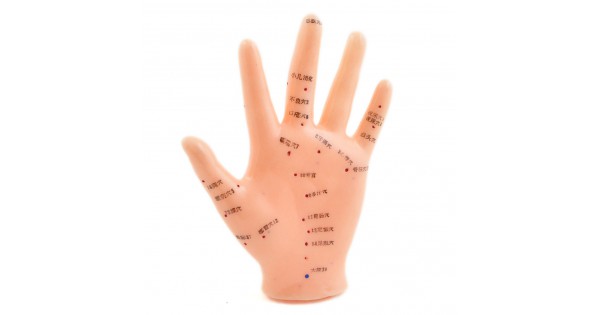 Acupunctuur Model Hand